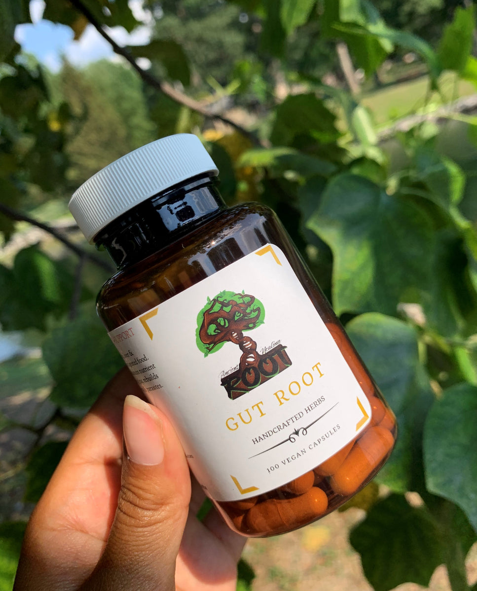 Gut root – Ancient Healing Root