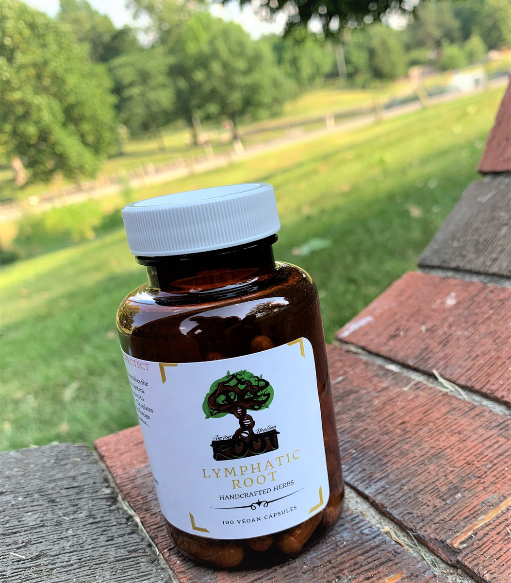 Lymphatic root – Ancient Healing Root